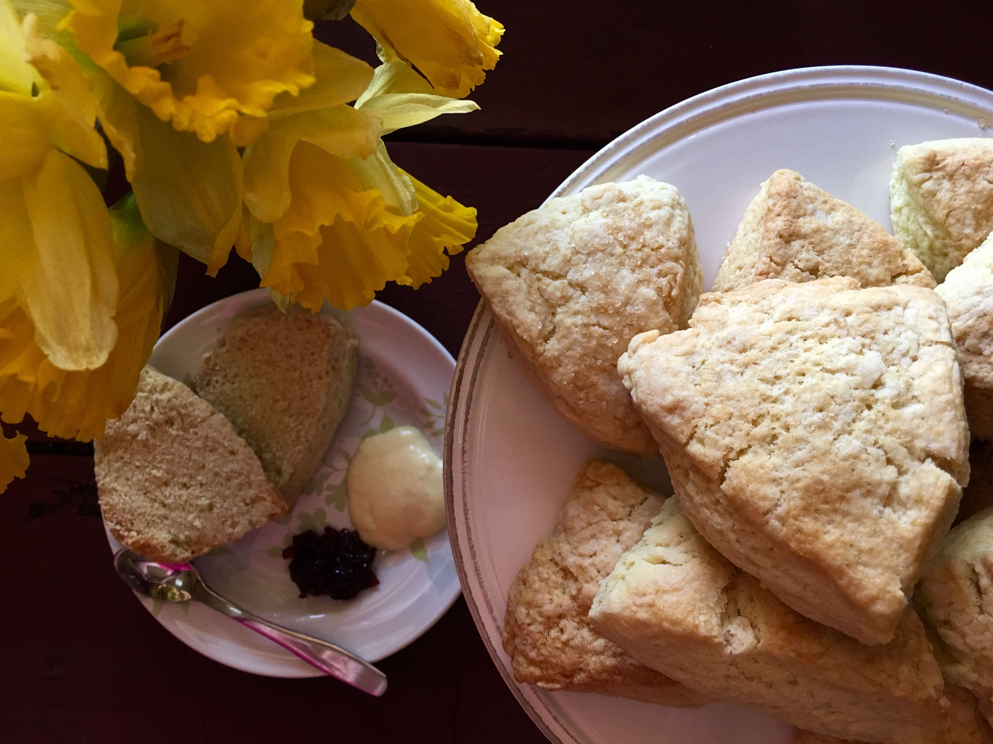 #kitchentherapy to celebrate: girls' night menus : Ronne Rock